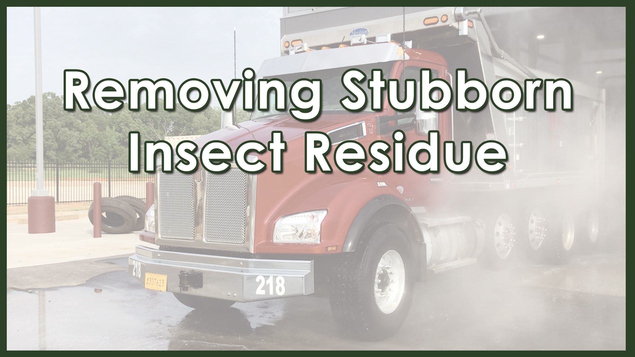 Bug Soaker 101: The Ultimate Guide to Using Removing Bugs on Your Fleet